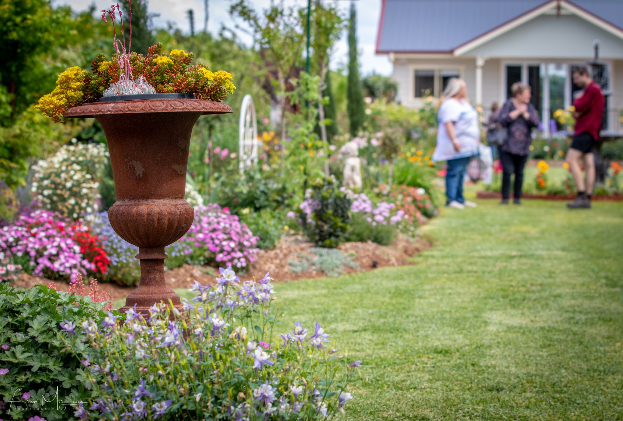 Open Gardens - Griffith Spring Fest