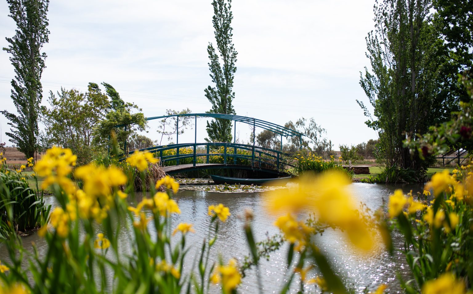 Open Gardens - Griffith Spring Fest