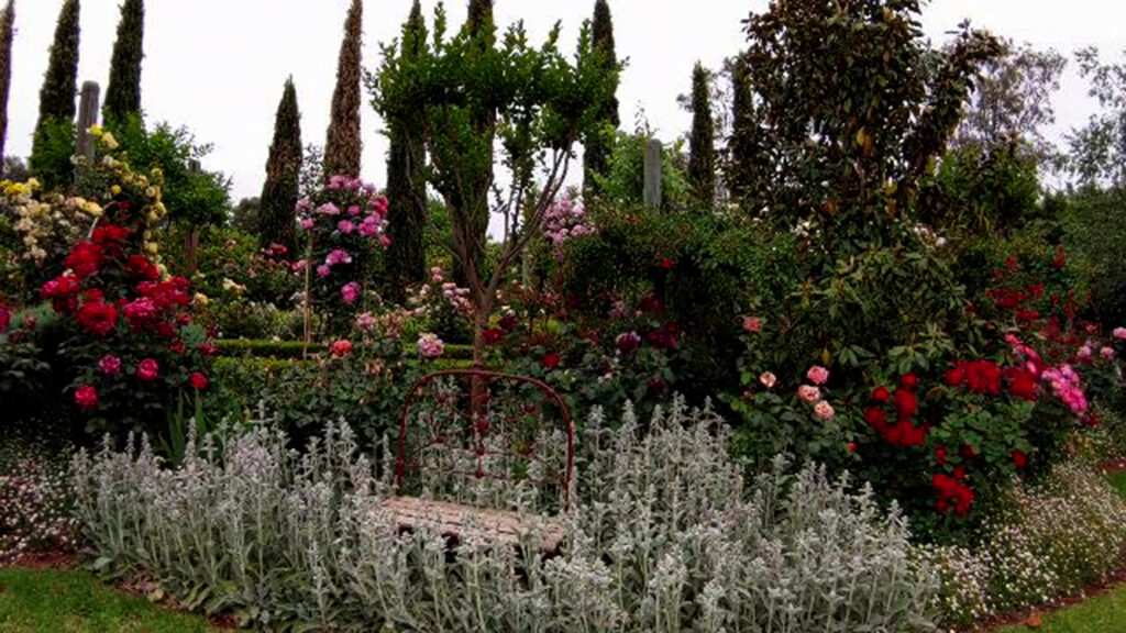 Open Gardens - Griffith Spring Fest