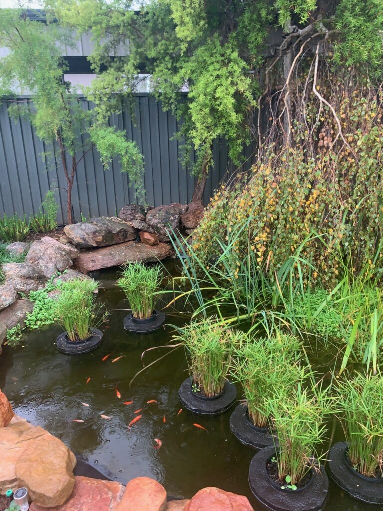 Open Gardens - Griffith Spring Fest