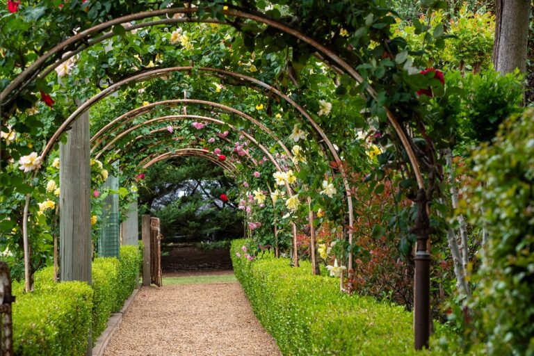 GRIFFITH SPRING FEST: OPEN GARDENS - Griffith Spring Fest